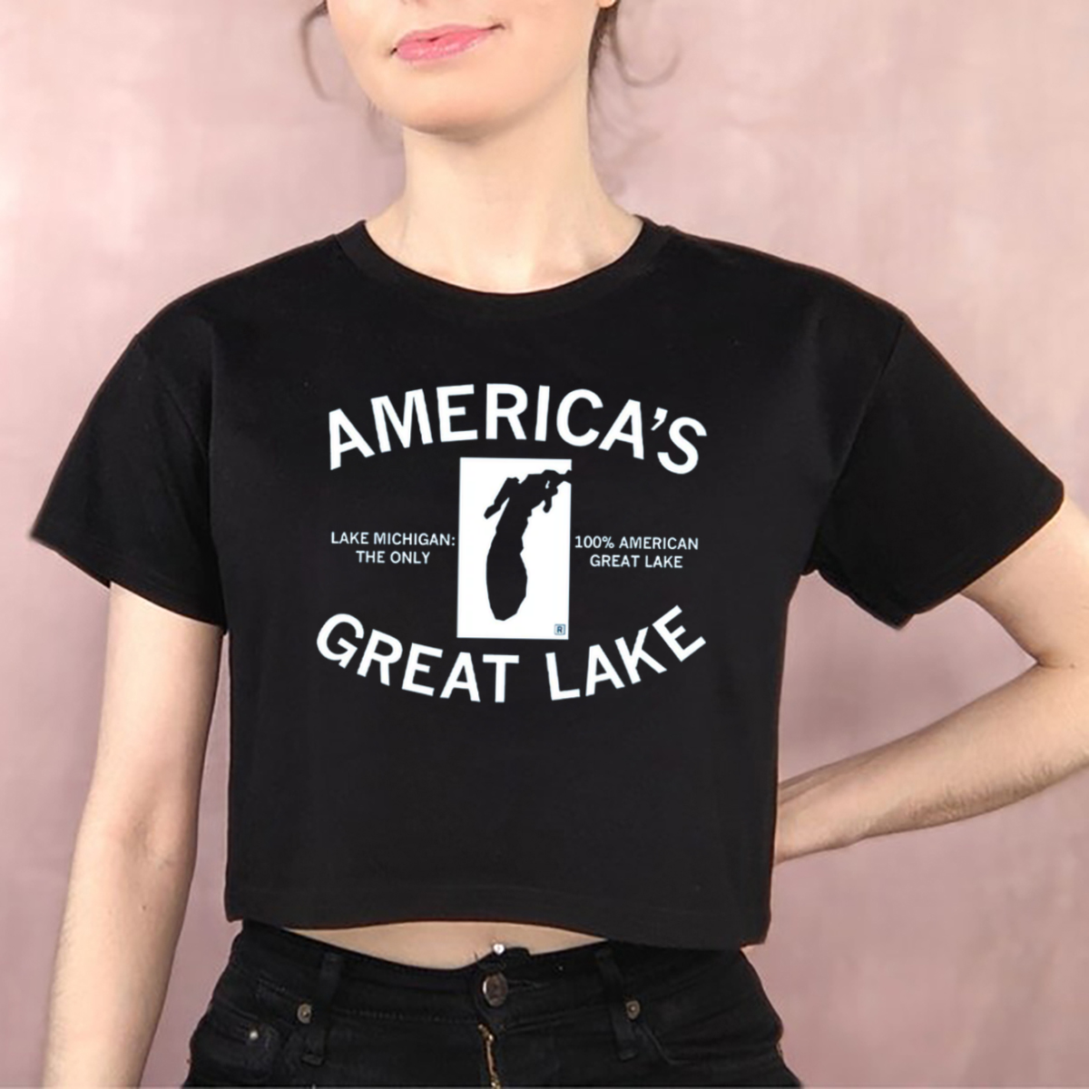 Lake Michigan America Great Lake Shirt • Picturestees Clothing LLC