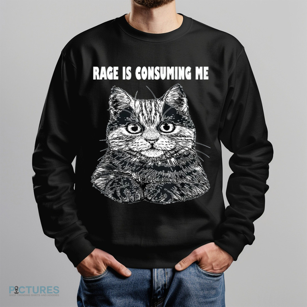 🚛Free Delivery: 📣SaleOff 20% Rage Is Consuming Me Silly Staring Cat ...